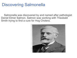 Salmonella | PPT
