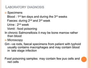 Salmonella | PPTX
