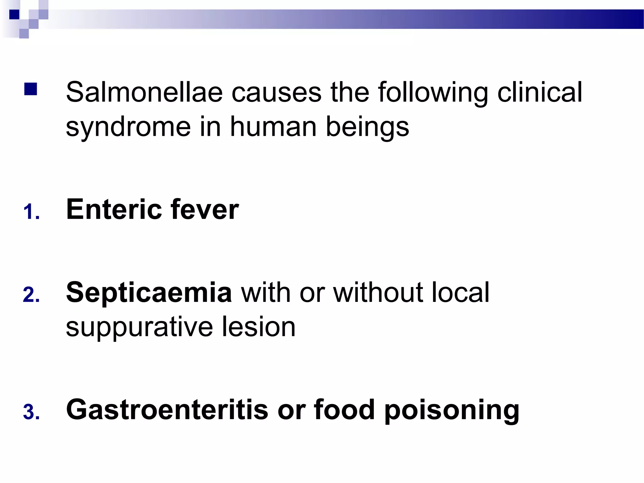 Salmonella | PPT