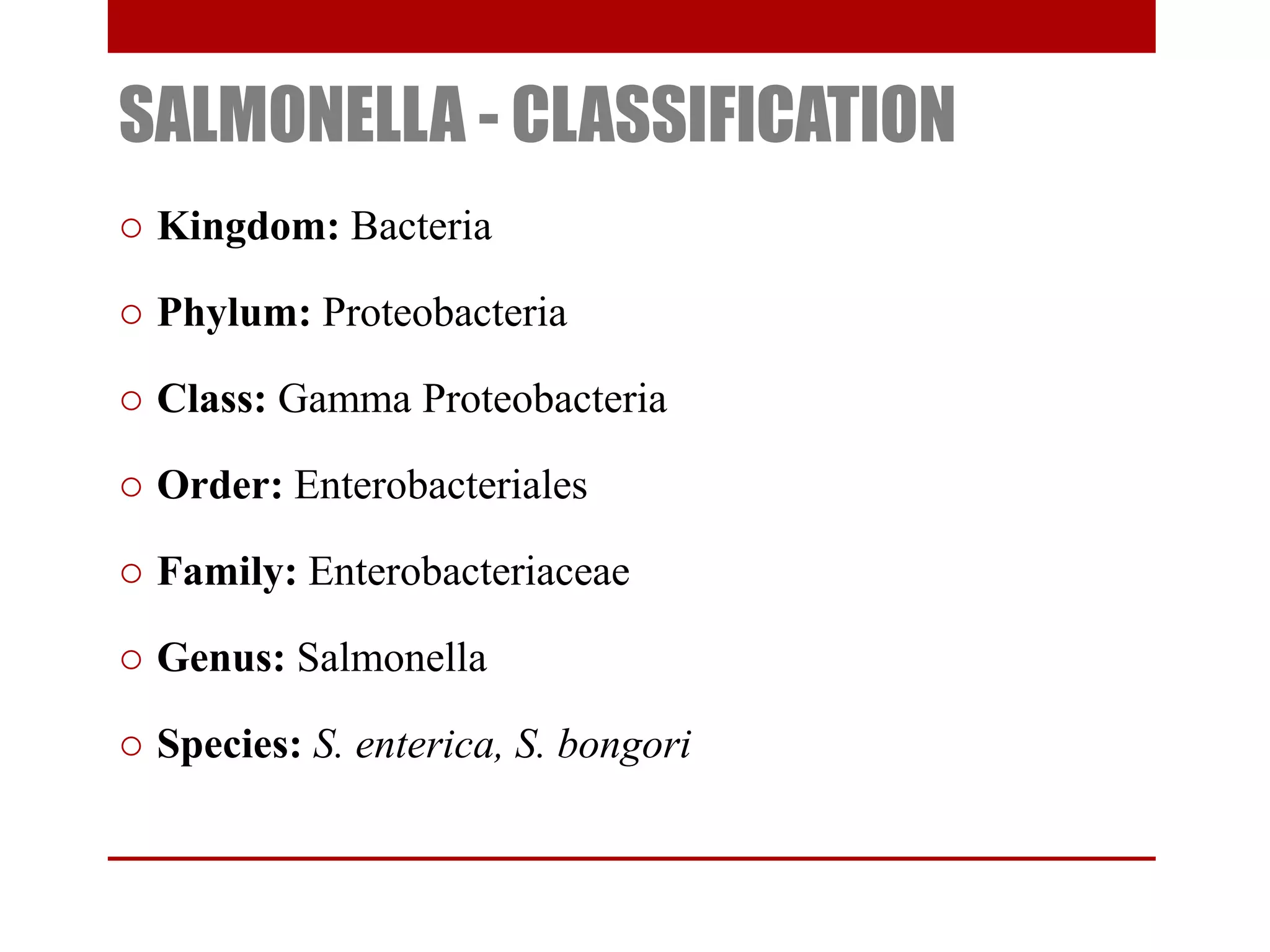 Salmonella | PPTX
