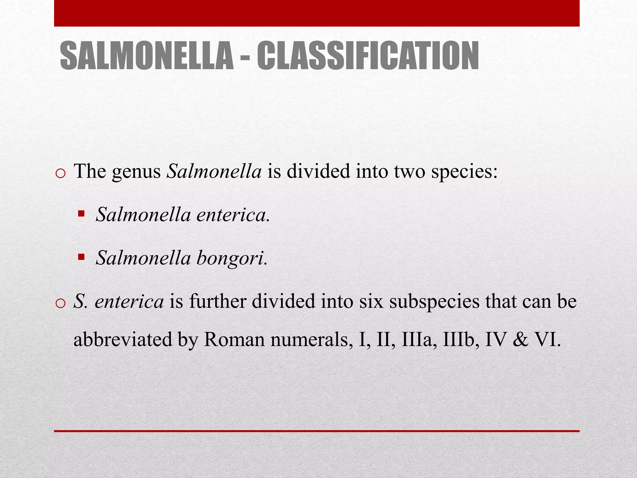 Salmonella | PPTX