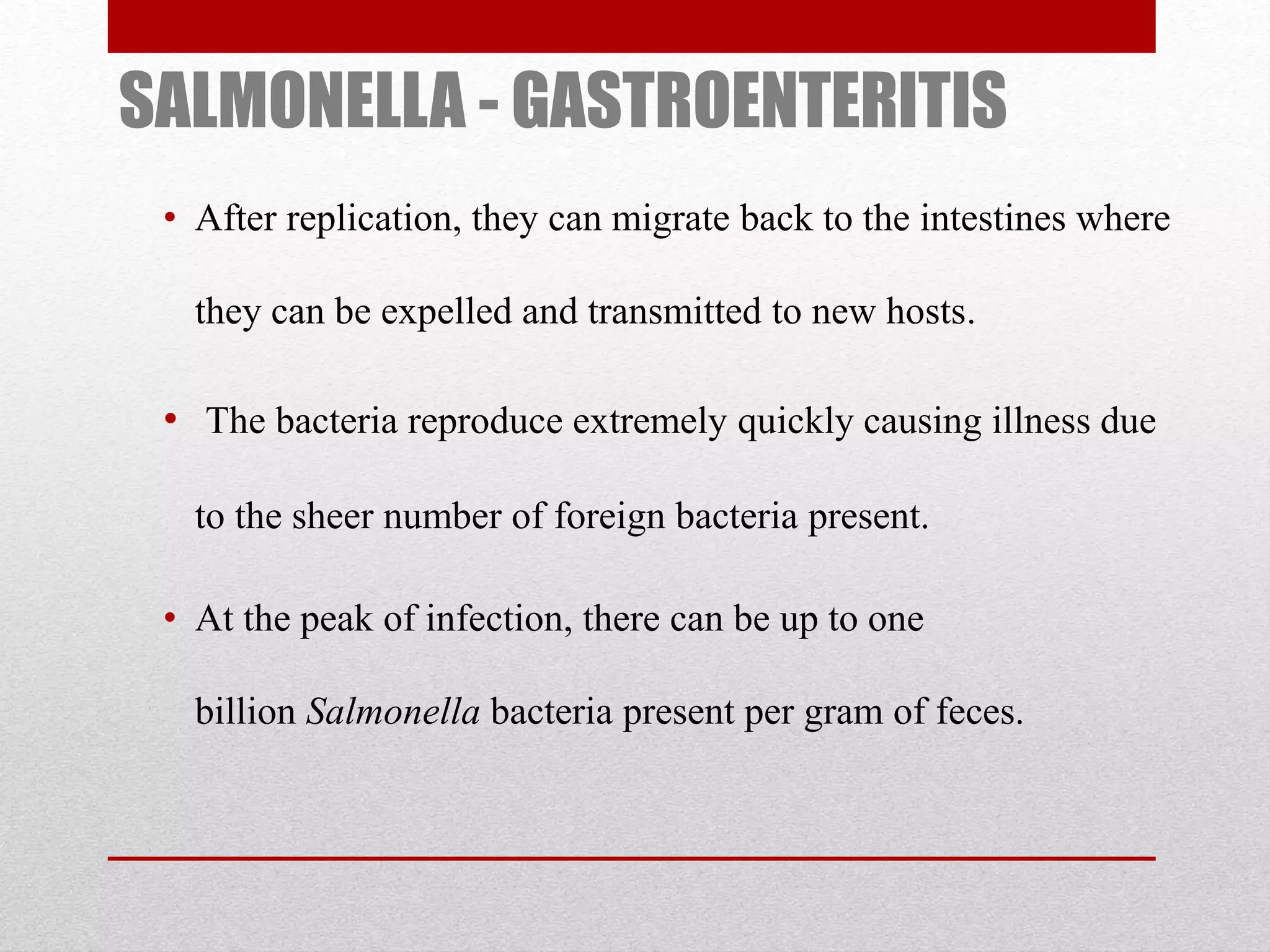 Salmonella | PPTX