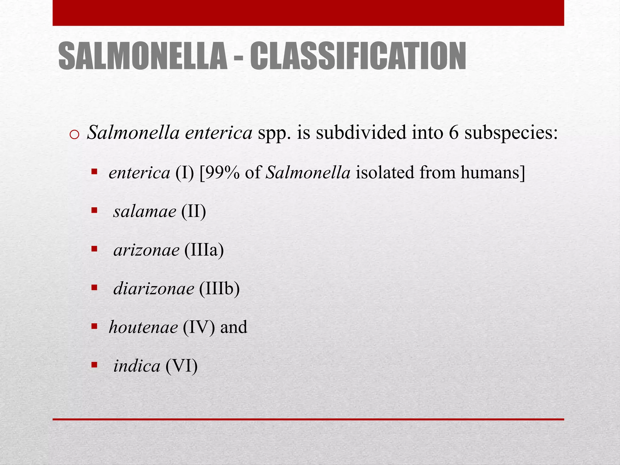 Salmonella | PPTX