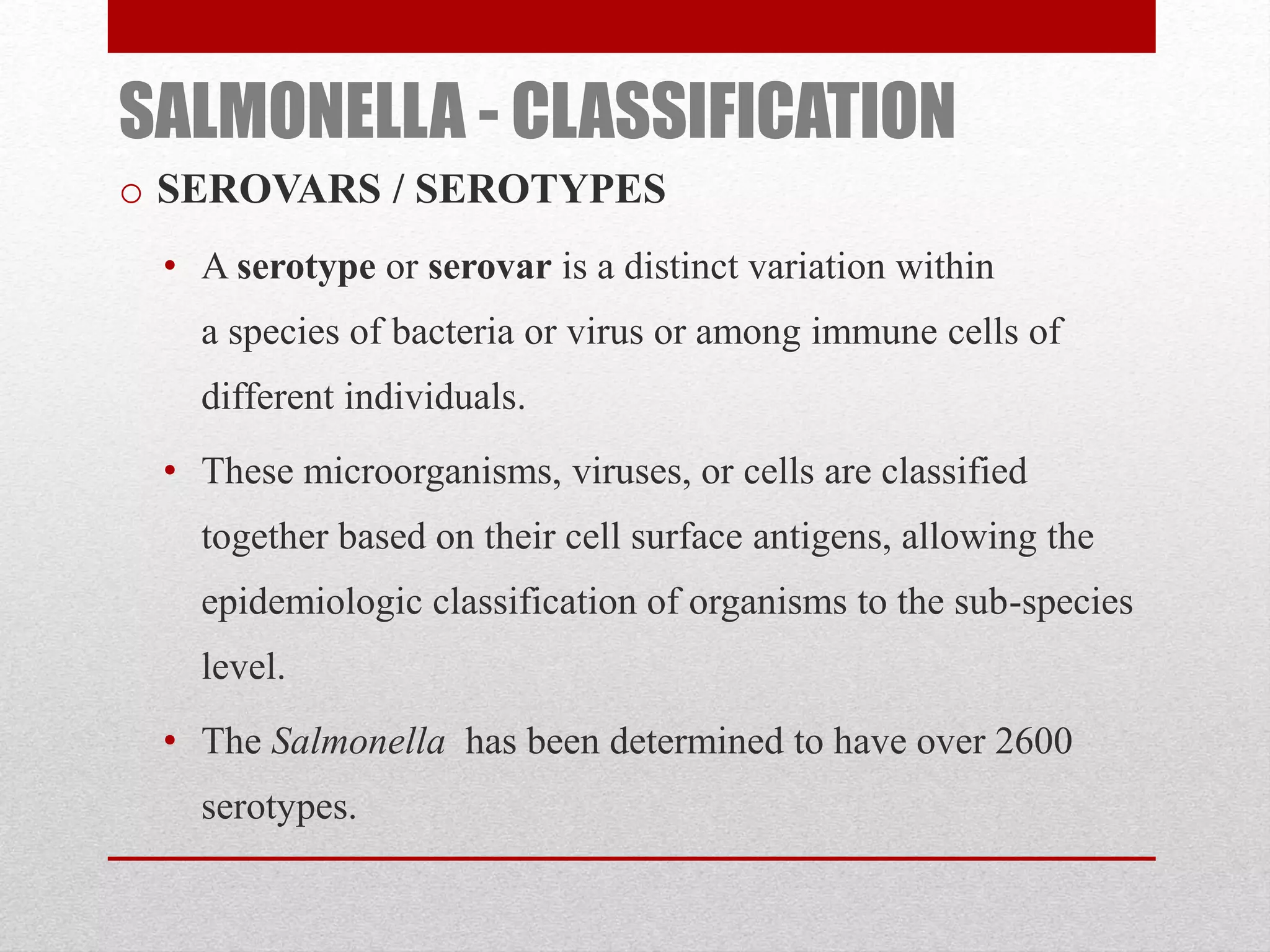 Salmonella | PPTX