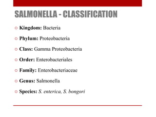Salmonella | PPTX