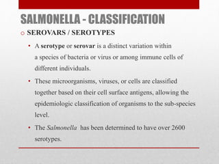 Salmonella | PPTX