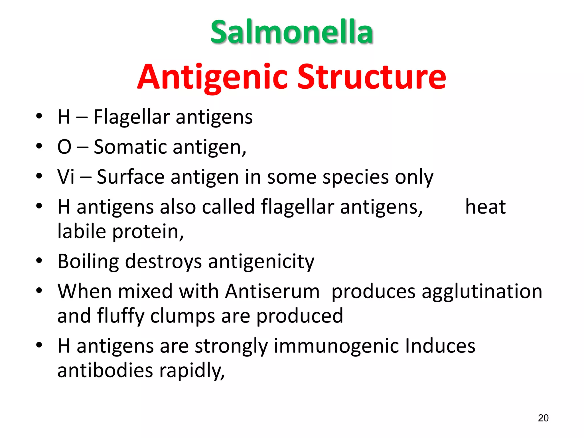 SALMONELLA | PPT