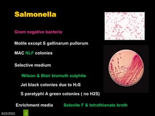 Salmonella.ppt