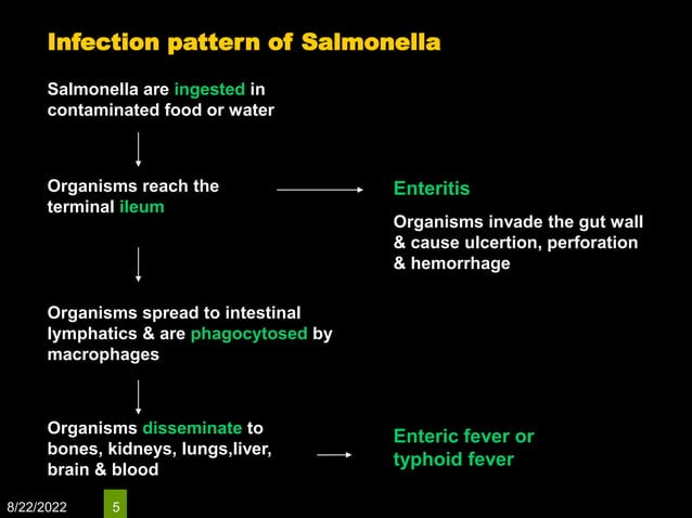 Salmonella.ppt | Free download