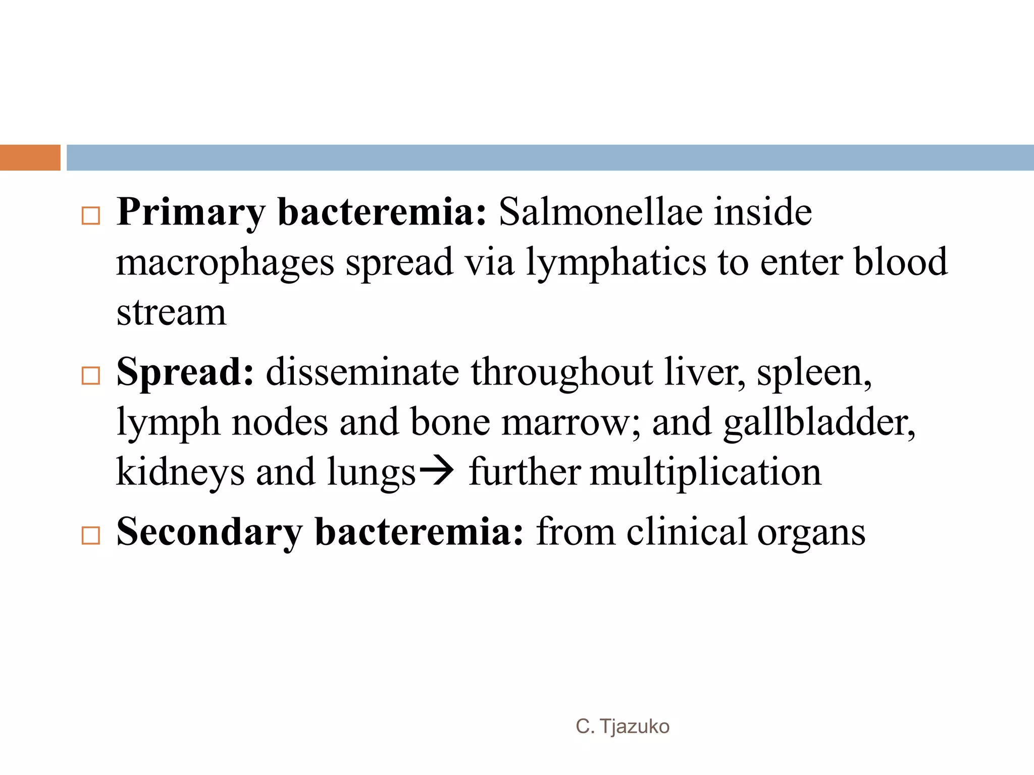 salmonella.pptx