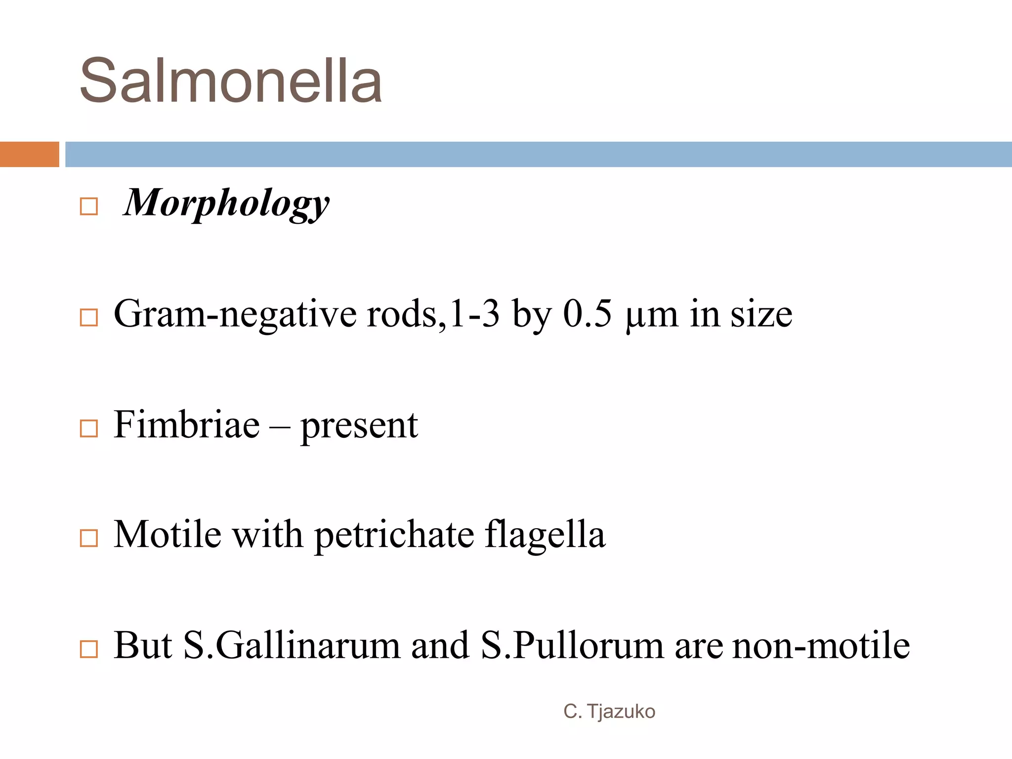 salmonella.pptx