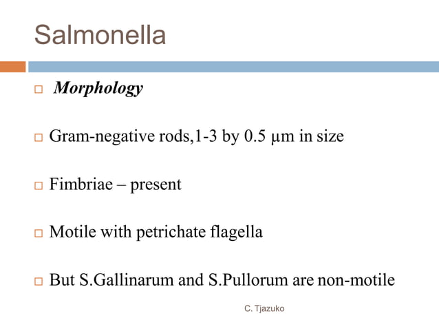 salmonella.pptx