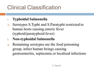 salmonella.pptx