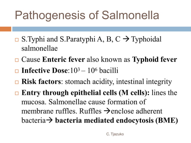 salmonella.pptx