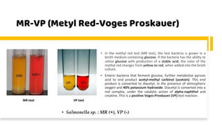 Salmonella.pdf | Infectious Diseases | Diseases and Conditions