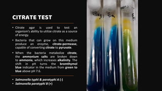 Salmonella.pdf | Infectious Diseases | Diseases and Conditions