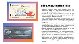 Salmonella.pdf