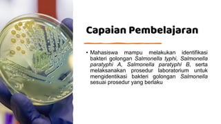 Salmonella.pdf | Infectious Diseases | Diseases and Conditions