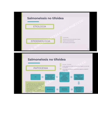 salmonella.pdf