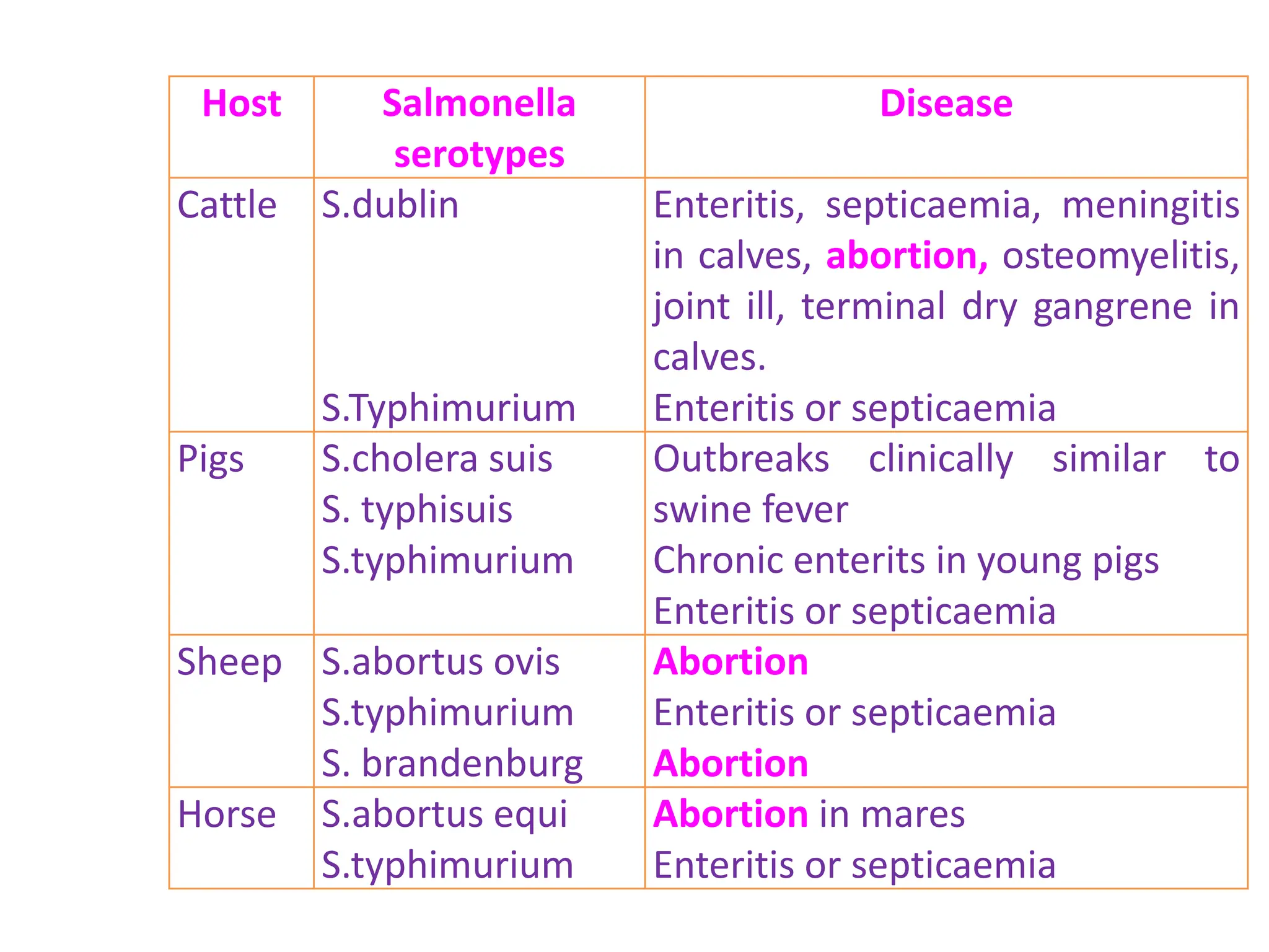 Salmonella.ppt salmonella classification and it's diseases | PPT