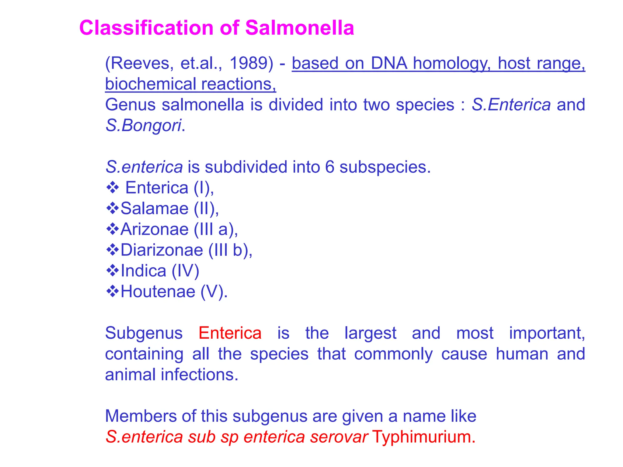 Salmonella.ppt salmonella classification and it's diseases | PPT