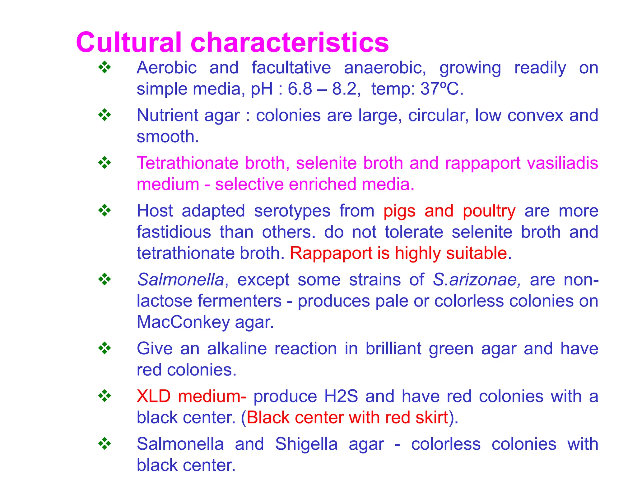 Salmonella.ppt salmonella classification and it's diseases | PPT