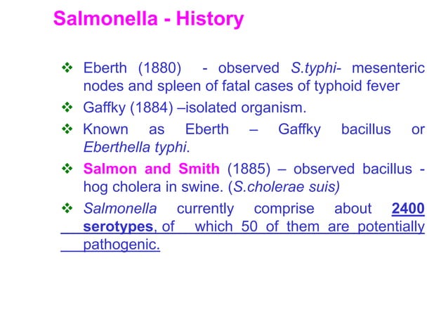 Salmonella.ppt salmonella classification and it's diseases | PPT