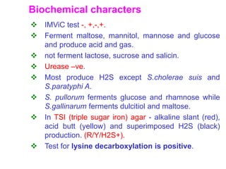 Salmonella.ppt salmonella classification and it's diseases | PPT