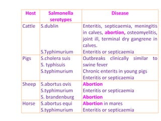 Salmonella.ppt salmonella classification and it's diseases | PPT