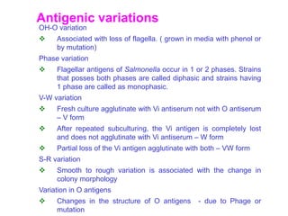 Salmonella.ppt salmonella classification and it's diseases | PPT