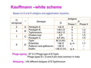Salmonella.ppt salmonella classification and it's diseases | PPT