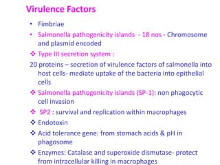 Salmonella.ppt salmonella classification and it's diseases | PPT