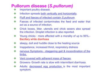 Salmonella.ppt salmonella classification and it's diseases | PPT