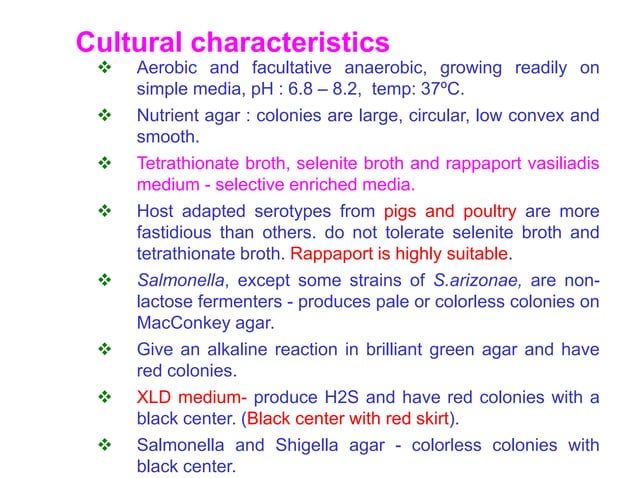 Salmonella.ppt salmonella classification and it's diseases | PPT