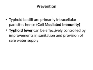 Salmonella typhi bacteria with all details | PPTX