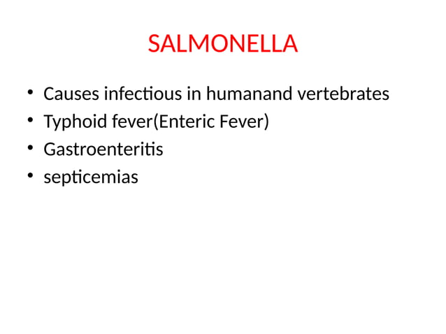 Salmonella typhi bacteria with all details | PPTX