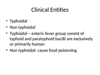 Salmonella typhi bacteria with all details | PPTX