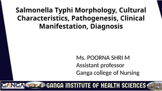 Salmonella typhi morphology,cultural characteristics,pathogenesis ...