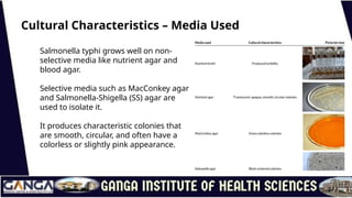 Salmonella typhi morphology,cultural characteristics,pathogenesis ...