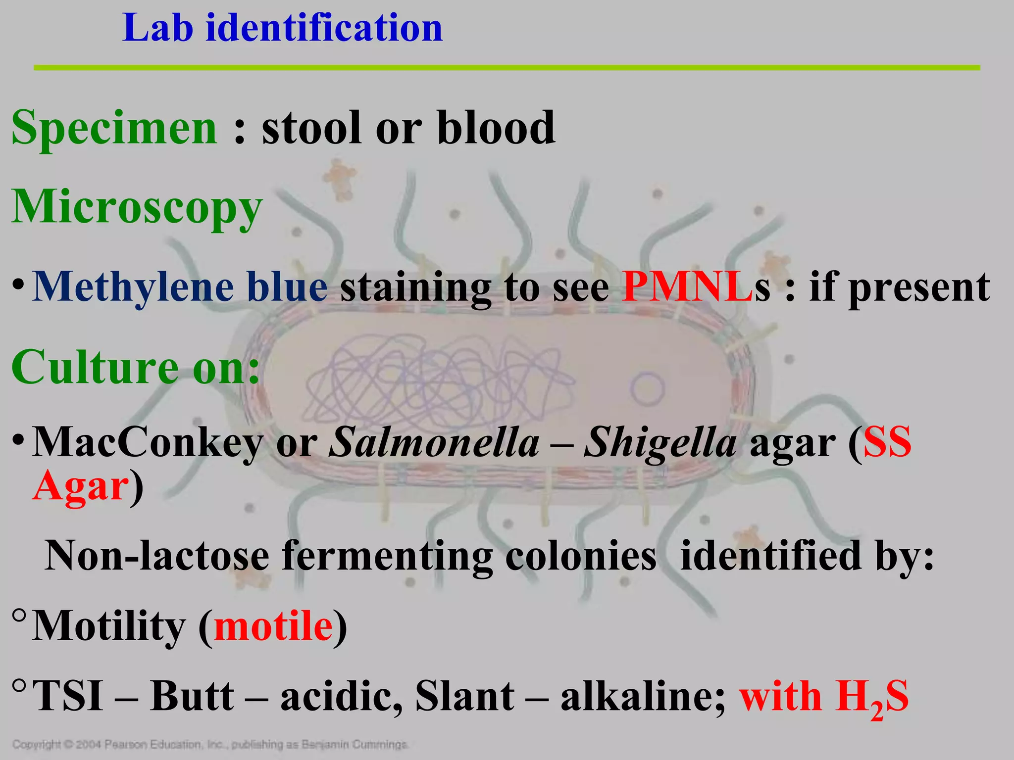 Salmonella shigella & yersinia dr.ihsan alsaimary | PPTX