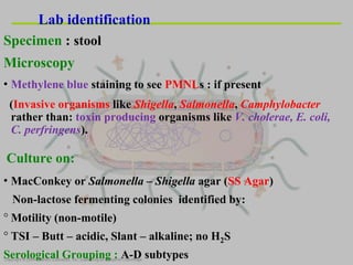 Salmonella shigella & yersinia dr.ihsan alsaimary | PPT