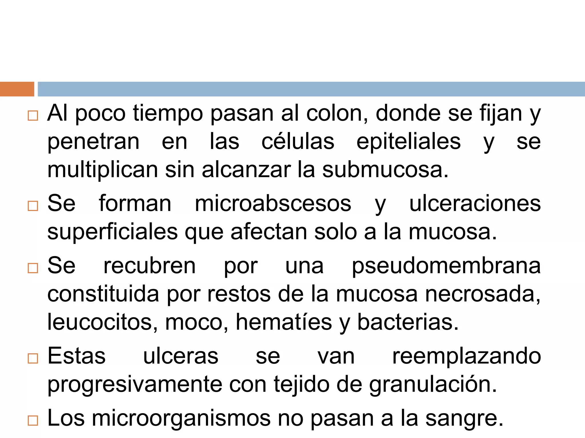 Salmonella (typhi, paratyphi, shigella), Tifoidea | PPTX