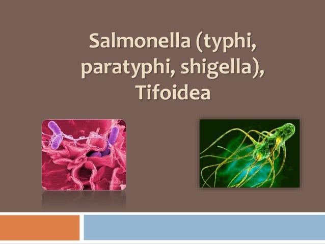 Salmonella (typhi, paratyphi, shigella), Tifoidea