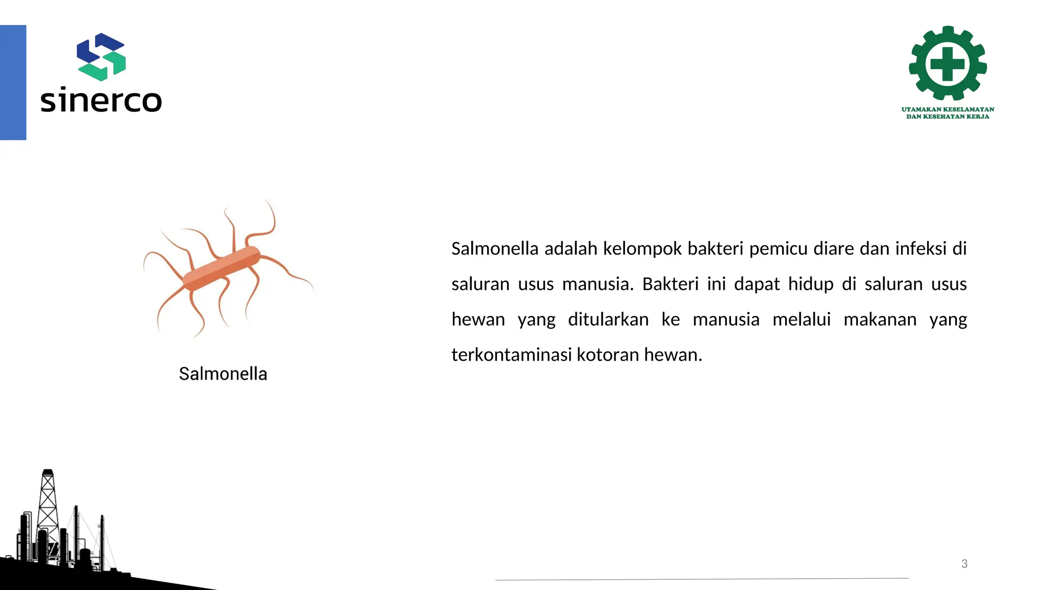 Mengetahui apa itu salmonella dan bahayanya bagi tubuh | PPT