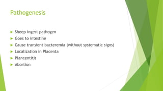 Salmonella abotusovis | PPT