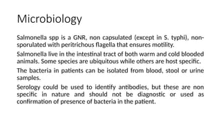 Salmonella and Shigella infections s and s infections | PPTX