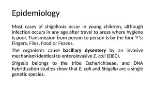 Salmonella and Shigella infections s and s infections | PPTX