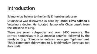 Salmonella and Shigella infections s and s infections | PPTX