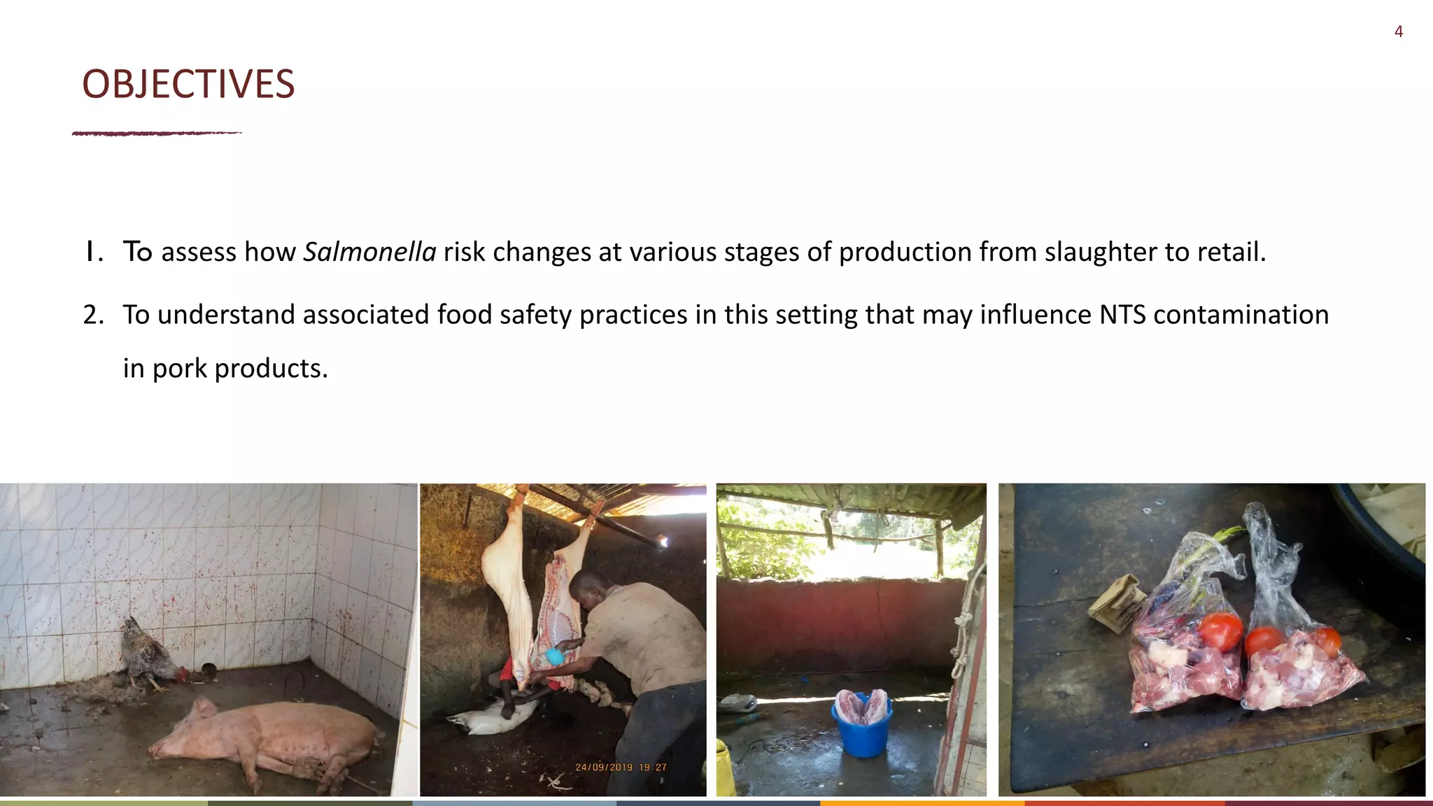 Salmonella contamination and food safety practices along the pork value ...