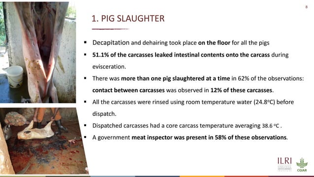 Salmonella contamination and food safety practices along the pork value ...